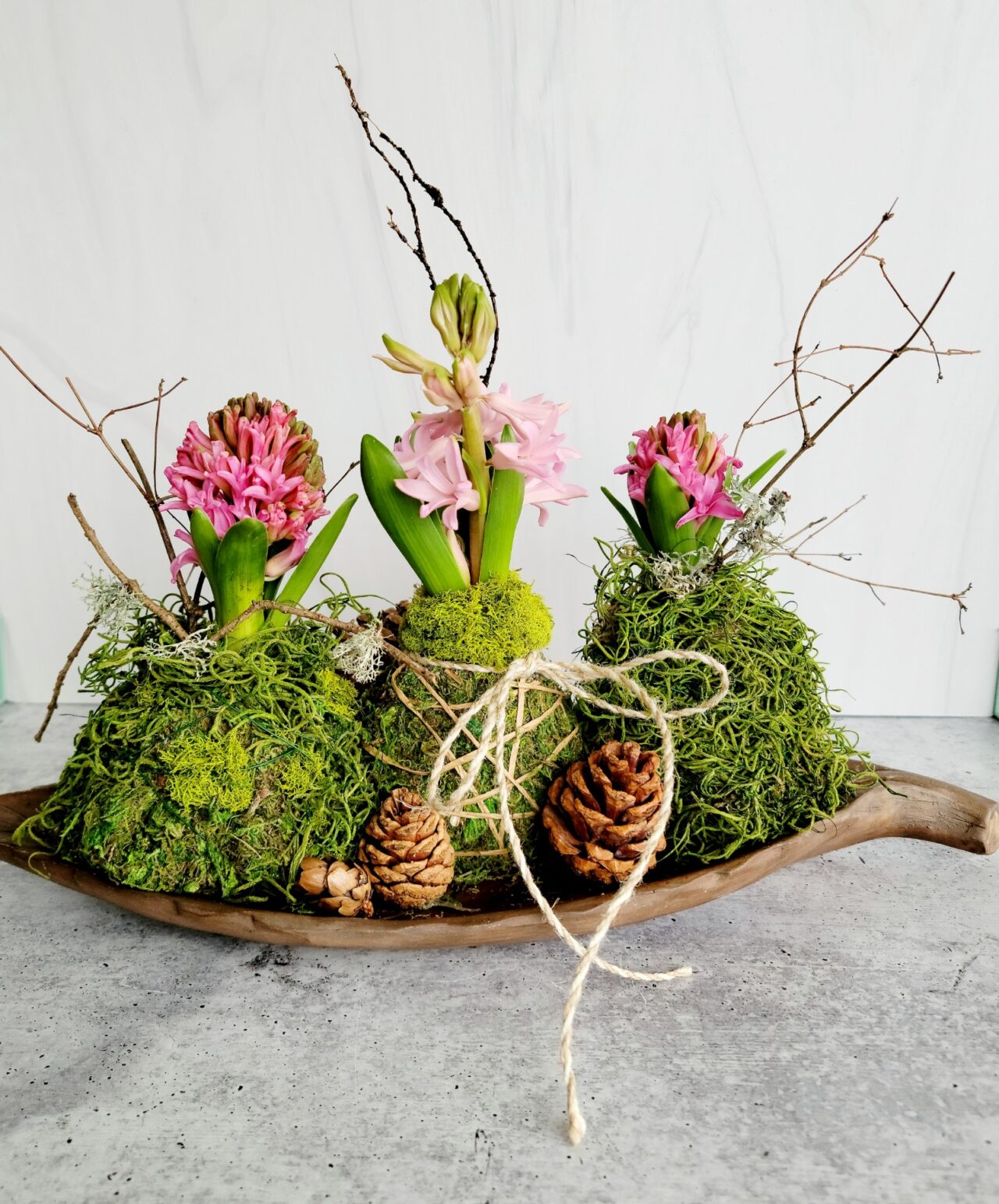 SOLD OUT! Rustic Cork, Mill Creek- Forced Bulb Centerpiece | Corks and Canvas Events